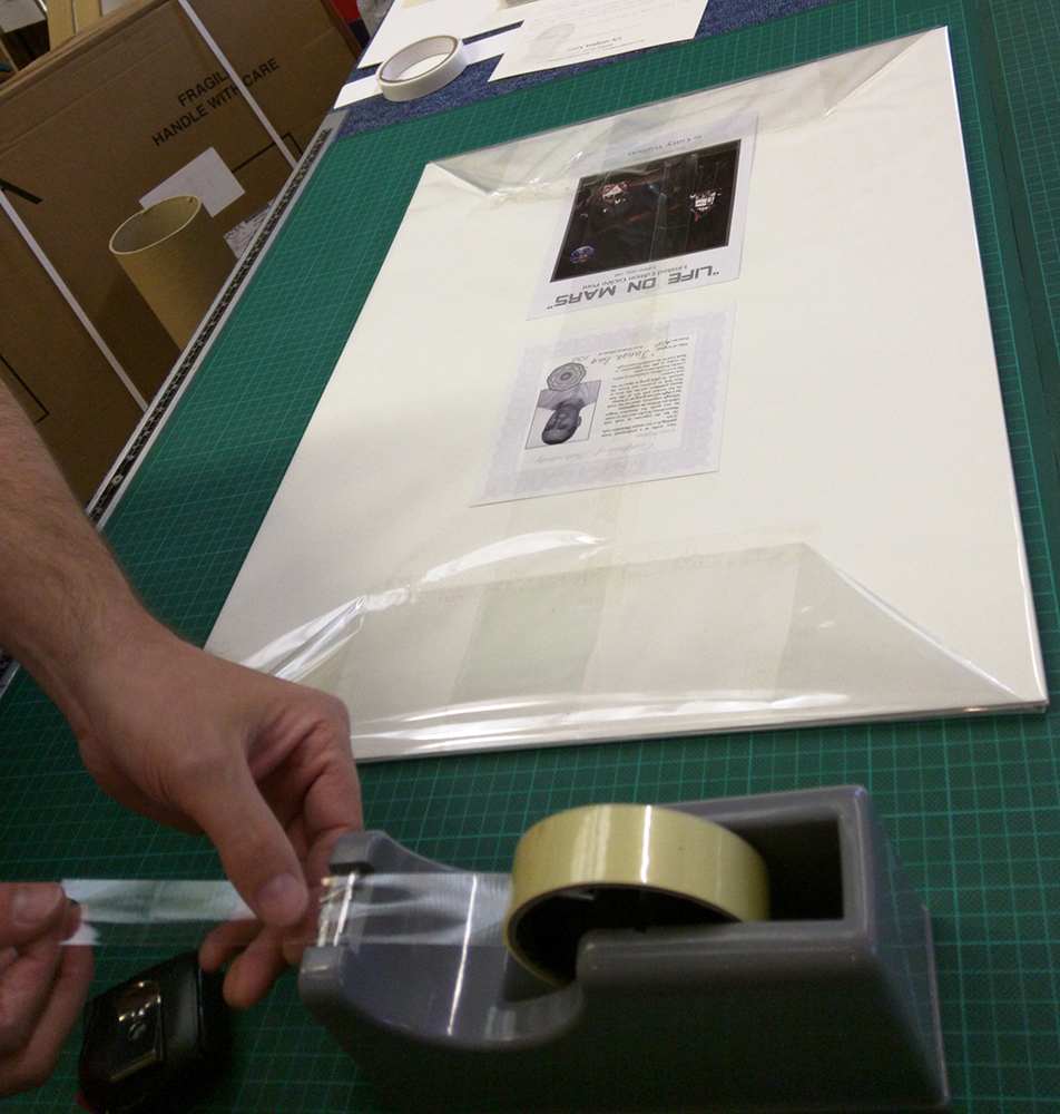 Mount, Back & Wrap | Swan Artworks